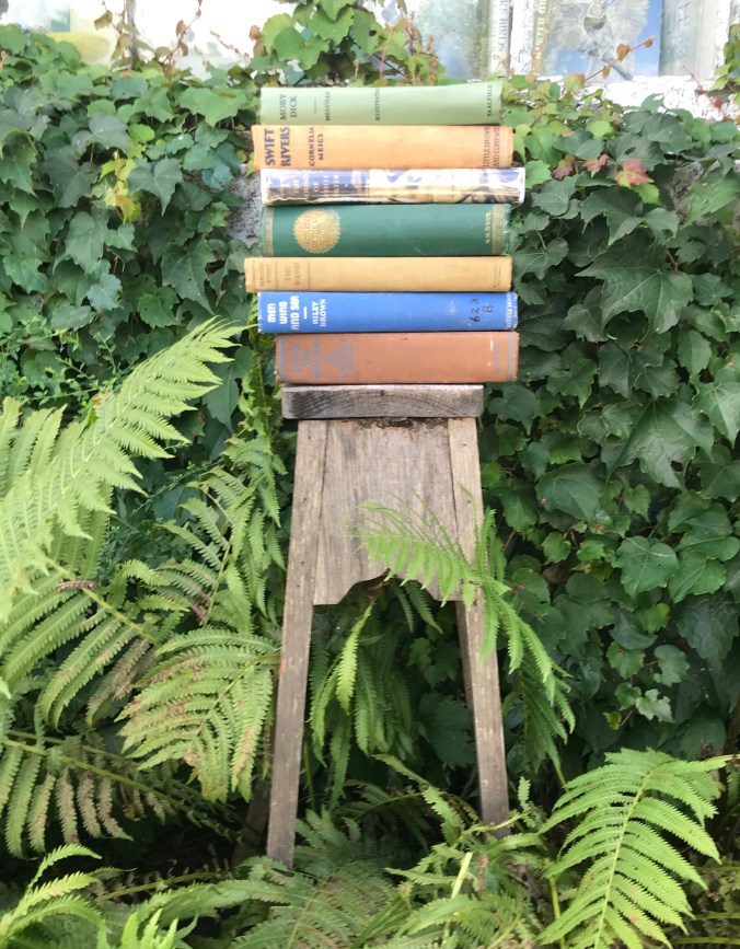 Books are Boats | Otter Creek Used Books